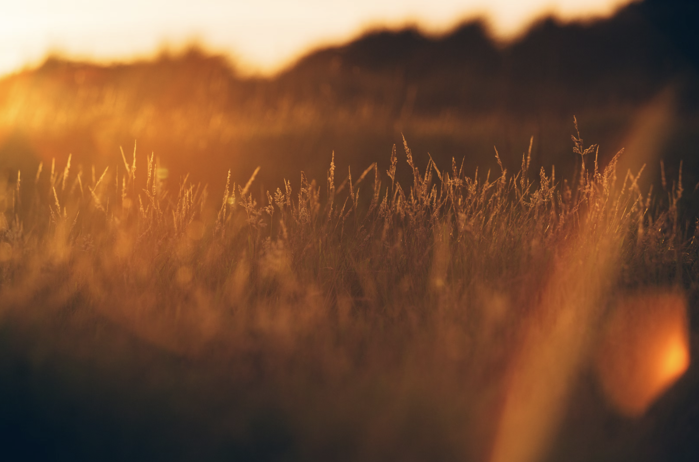 God Keeps His Promises – Ed Taylor